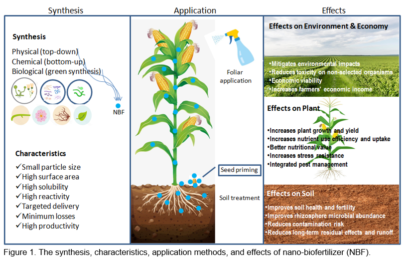 Nano-biofertilizer for Sustainable Agriculture | Asia Pacific Biofertilizer and Biopesticide ...